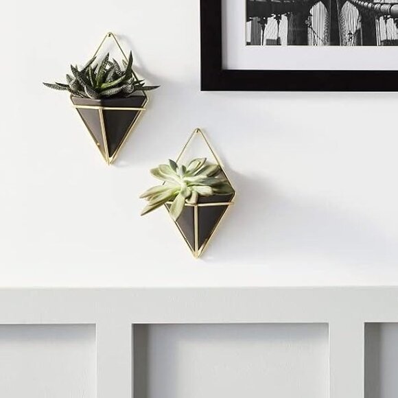 Wall Decor | New Set Of 2 Hanging Planter Vase Wall Decor Pots ...